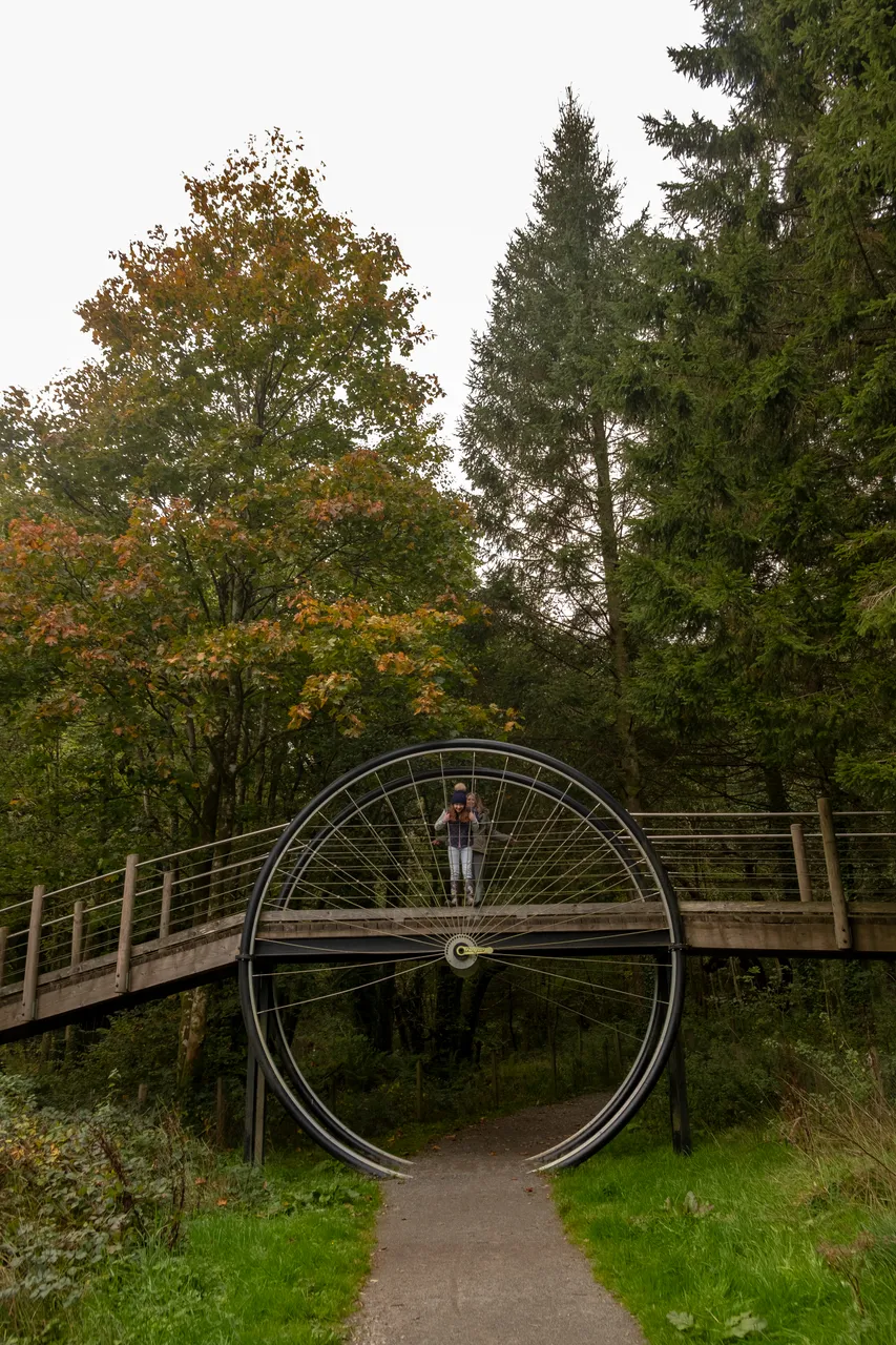 Kirroughtree Wheel Bridge