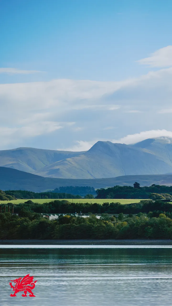Gwyl Dewi - Zoom background - Portrait - Menai Strait - blank