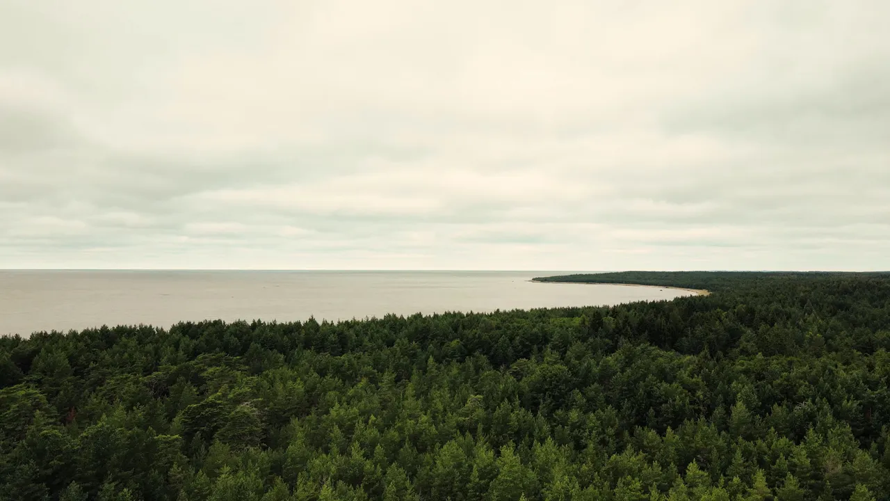 Roosta Holiday Village, Lake of Springs, Dirhami Fish Café