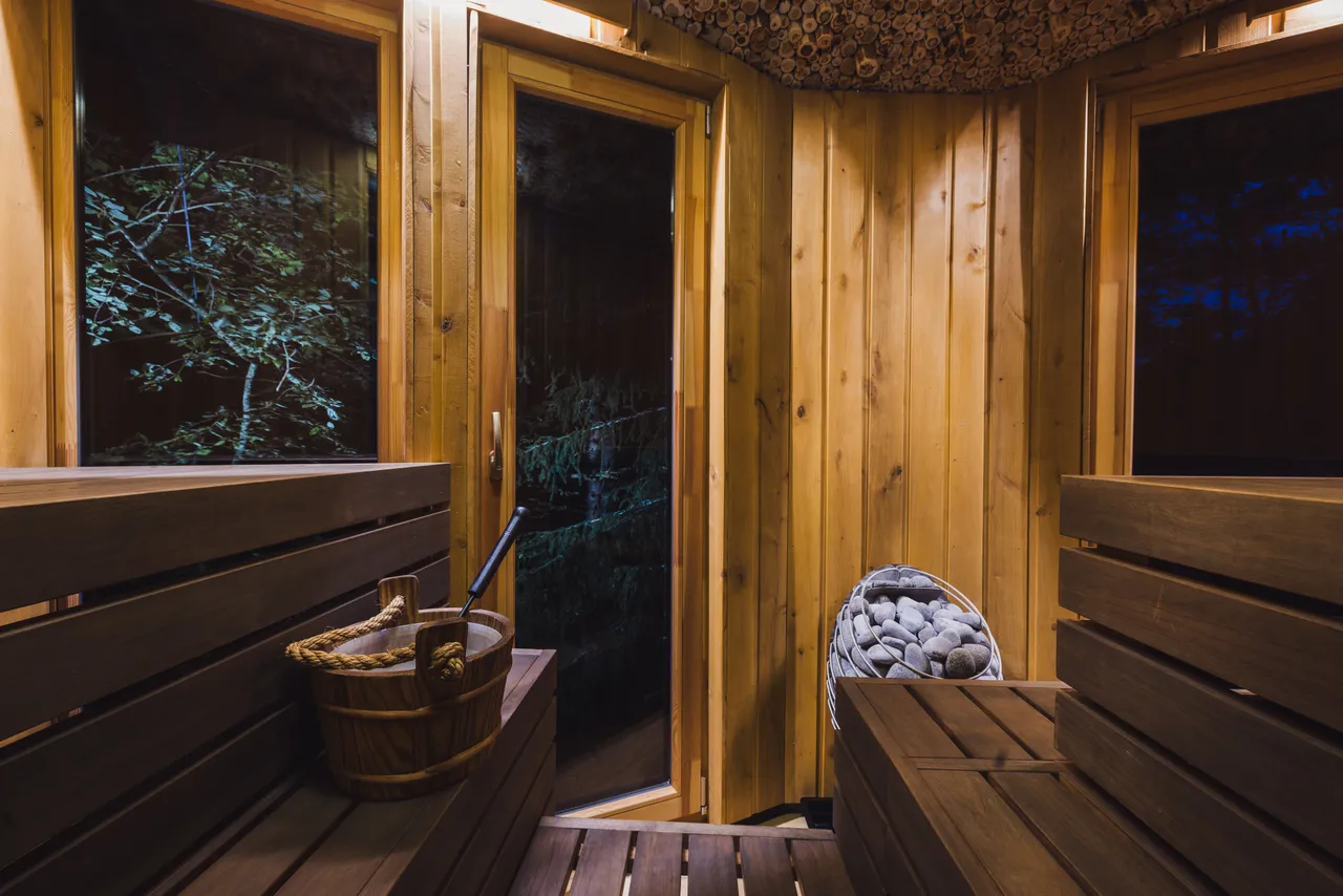 A tree house sauna in a pine tree