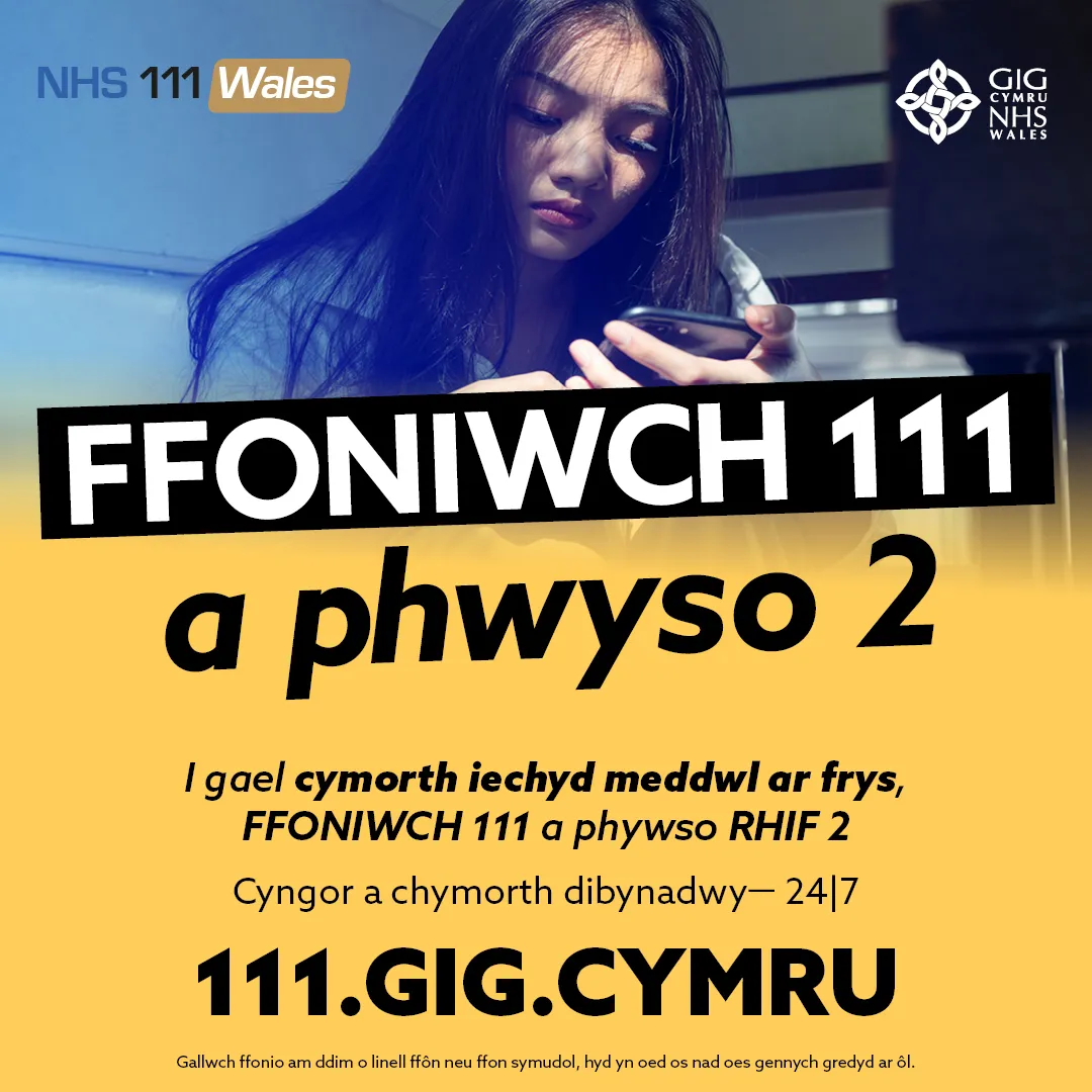 111 Press 2 CHILDREN Social 5 - CYMRAEG