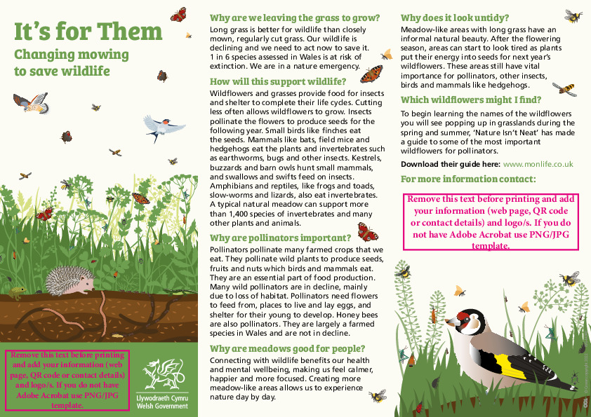 44340 It_s for Them_Short leaflet template with a few FAQs_English