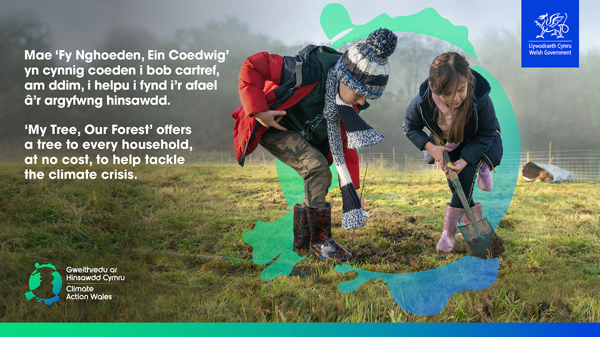 STATIC - MESSAGE - ADAPTATION