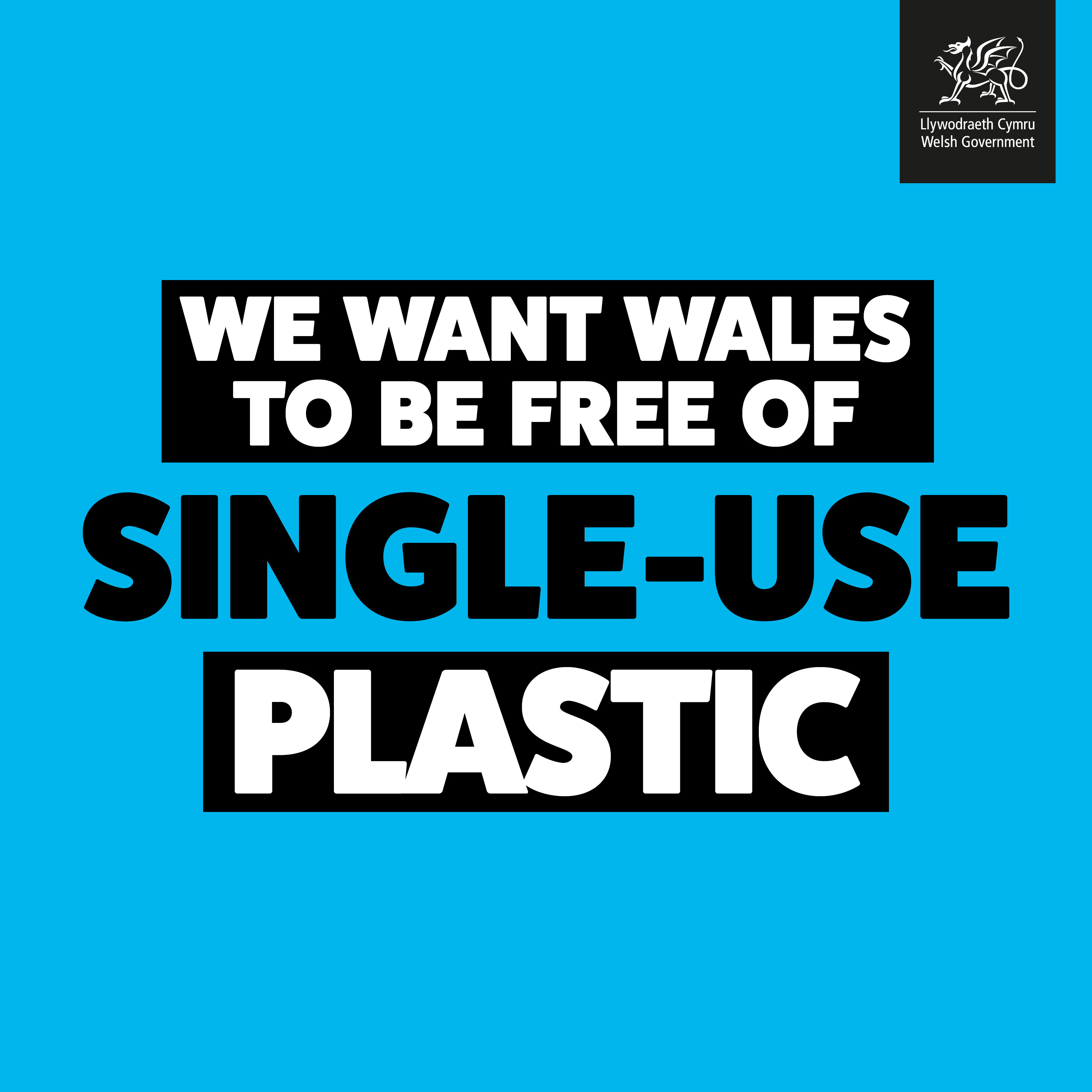 Environment | Welsh Government Communication Services