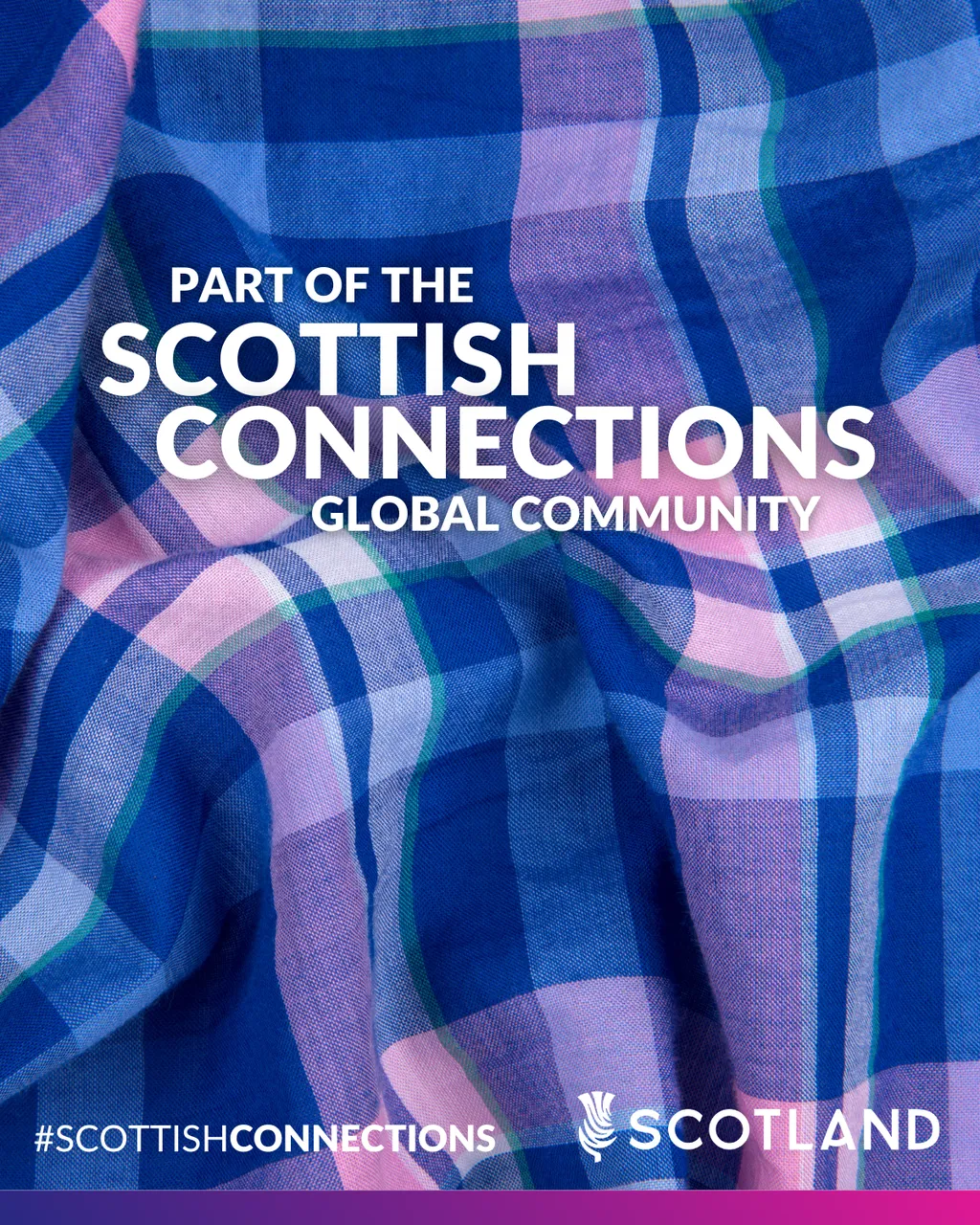 Scottish Connections - Portrait 6b - 2024